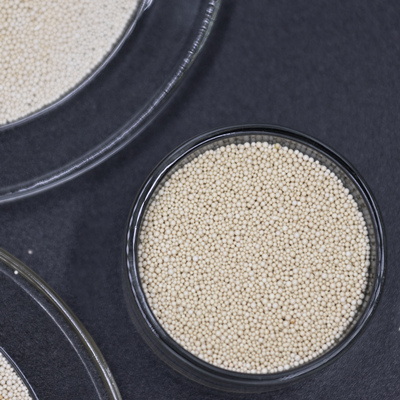 Catalyst resin esterification and phenol alkylation processes - Sunresin